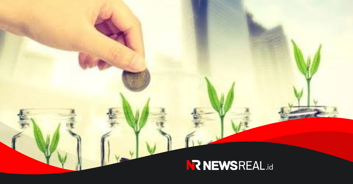 Mengenal Peran Sovereign Wealth Fund Indonesia dalam Mendukung ...