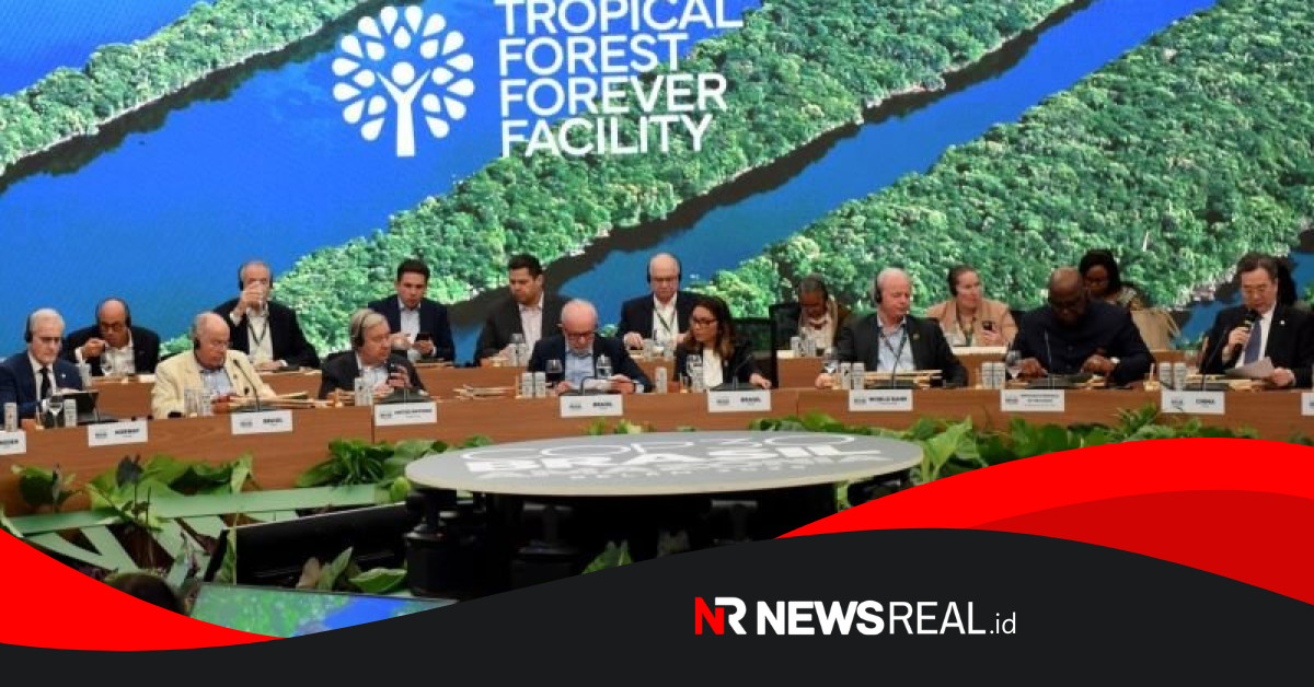 Indonesia Siap Investasi Rp16 Triliun untuk Hutan Tropis Dunia - Newsreal